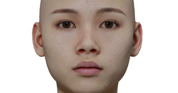 Female 3D model / Retopologised Head Scan 019