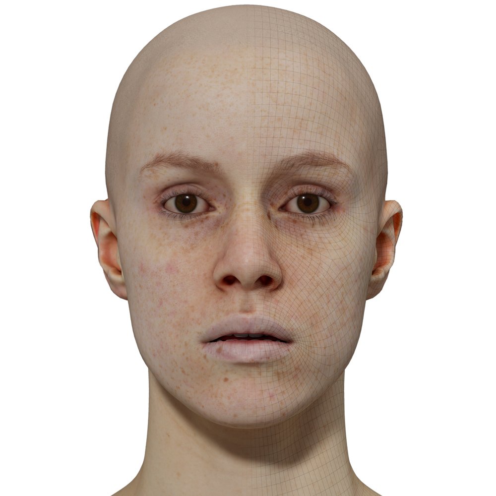 Female Face Reference For 3d Modeling