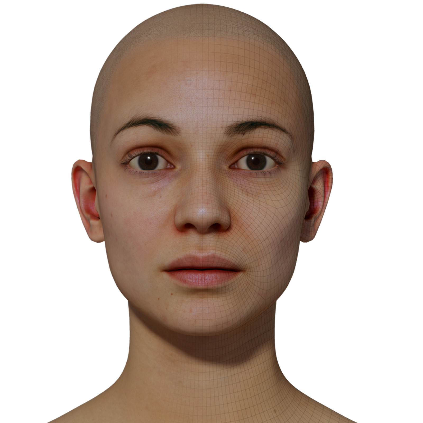 Head Scans
