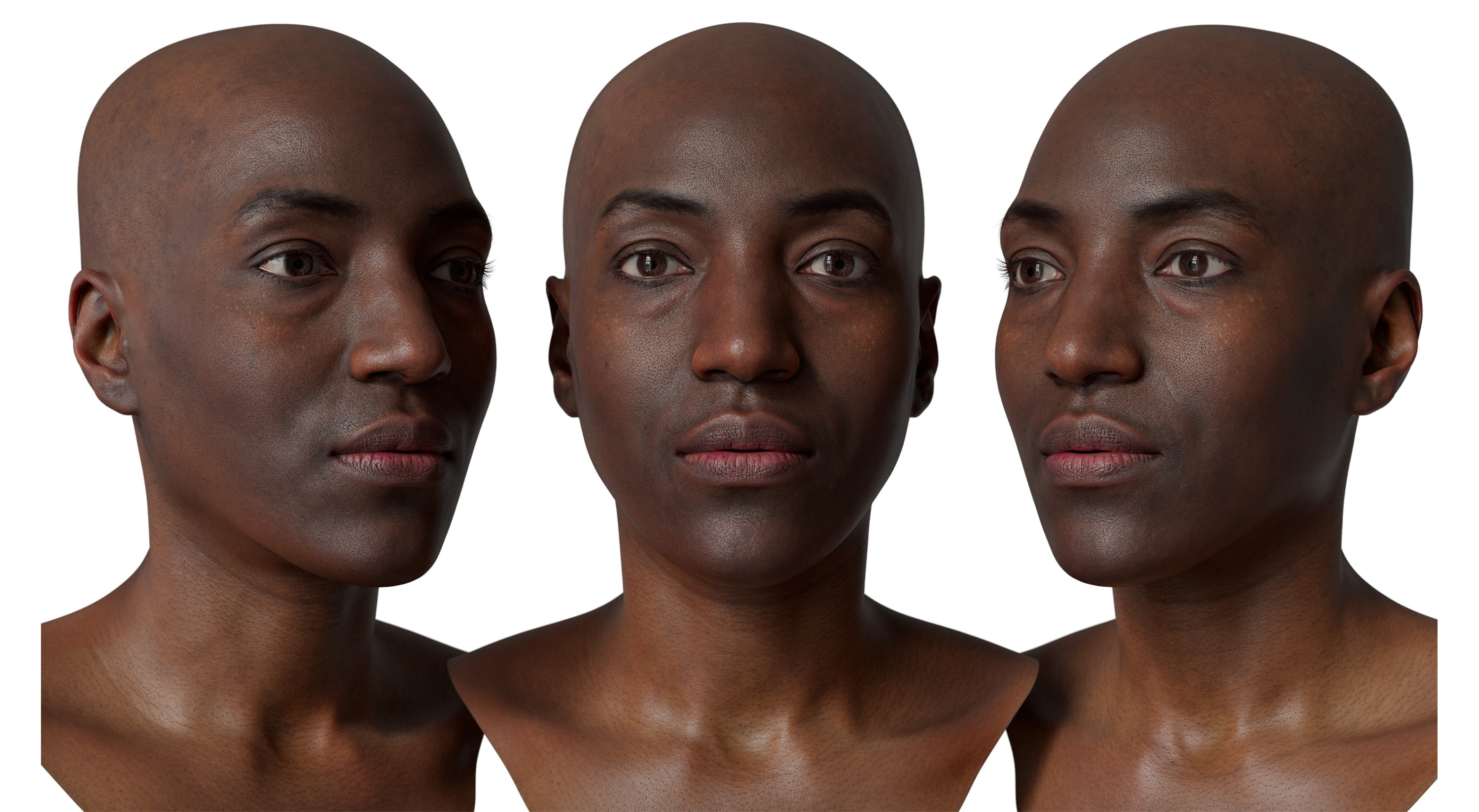 3d Models | 3d Models from 3d scans | 3dscanstore.com