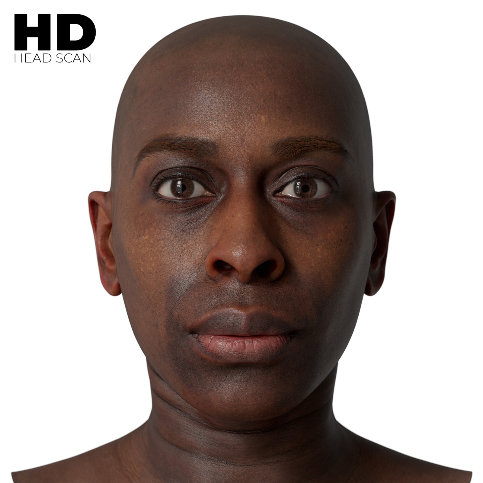 HD Head Scans