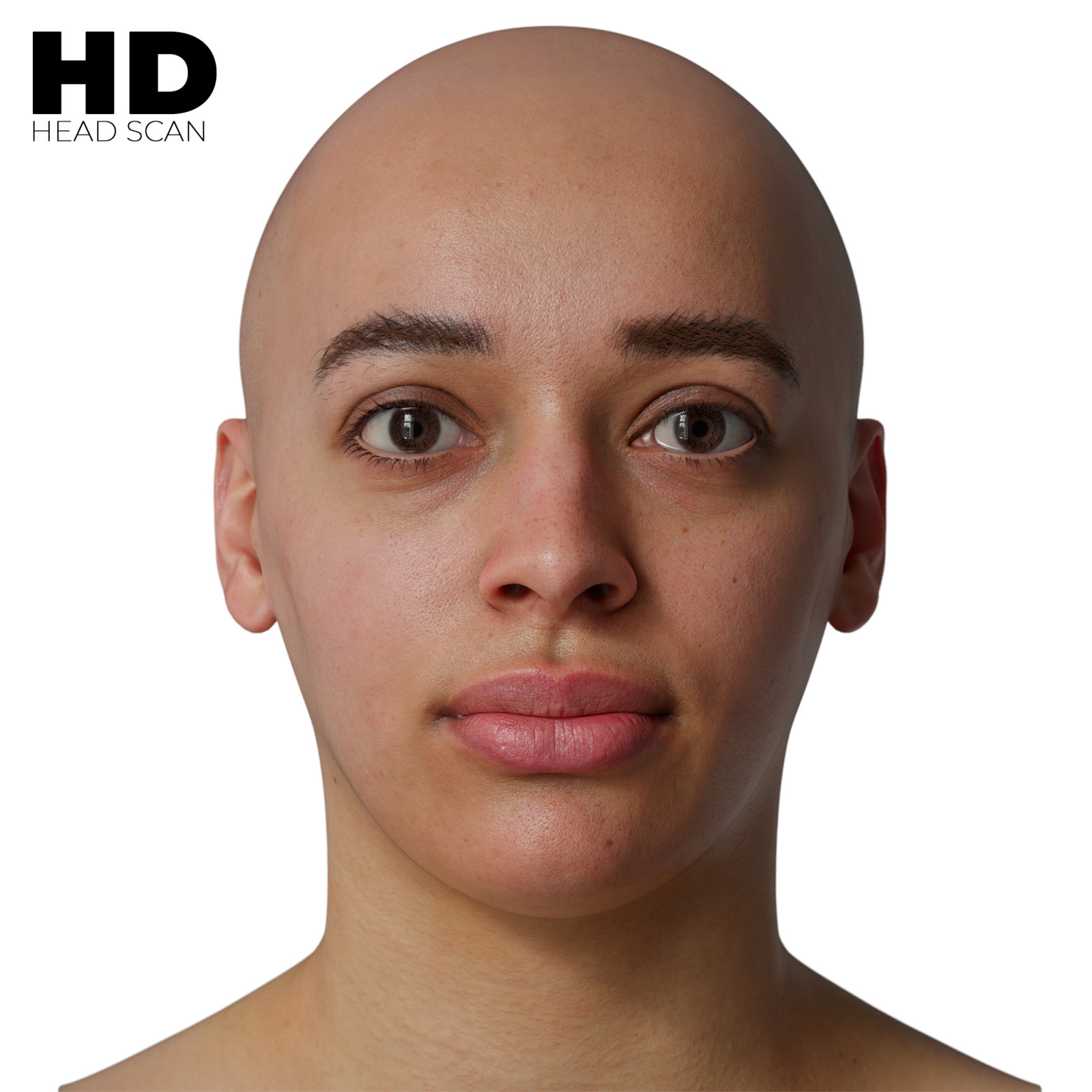 HD Head Scans