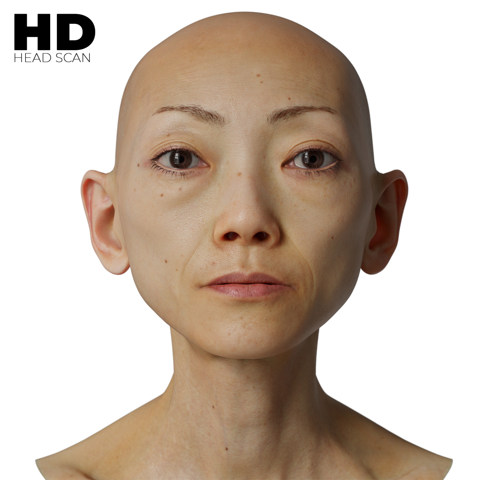 HD Head Scans