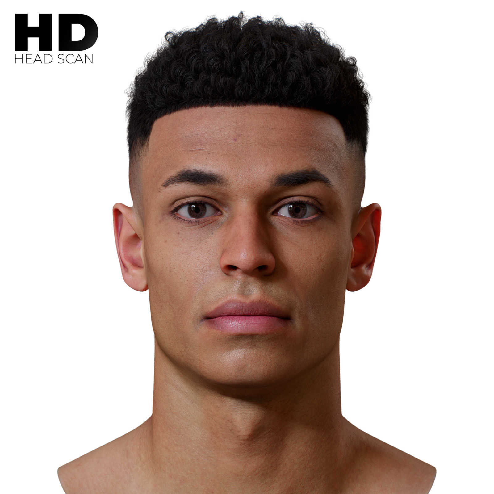 realistic 3d head models with hair