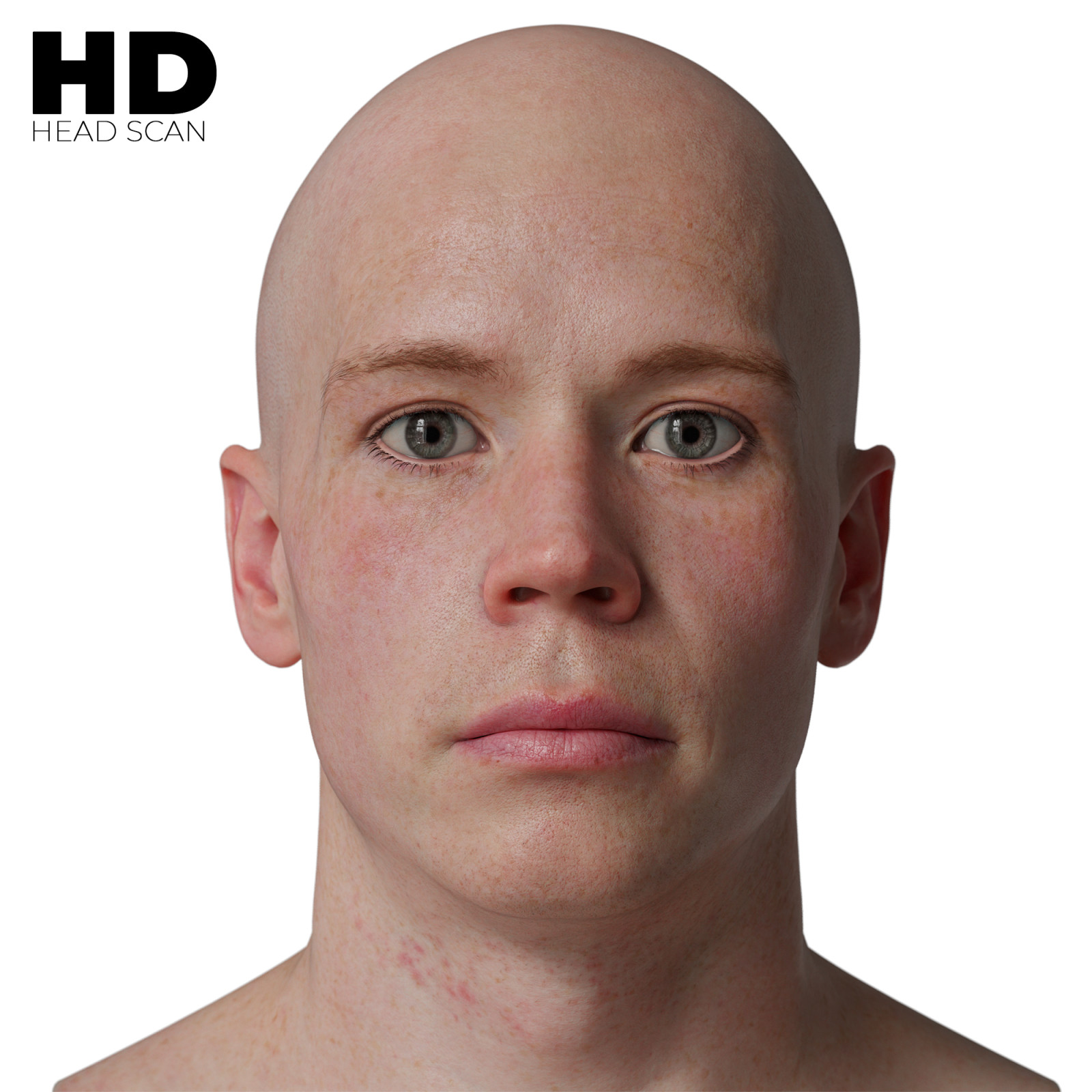 HD Head Scans