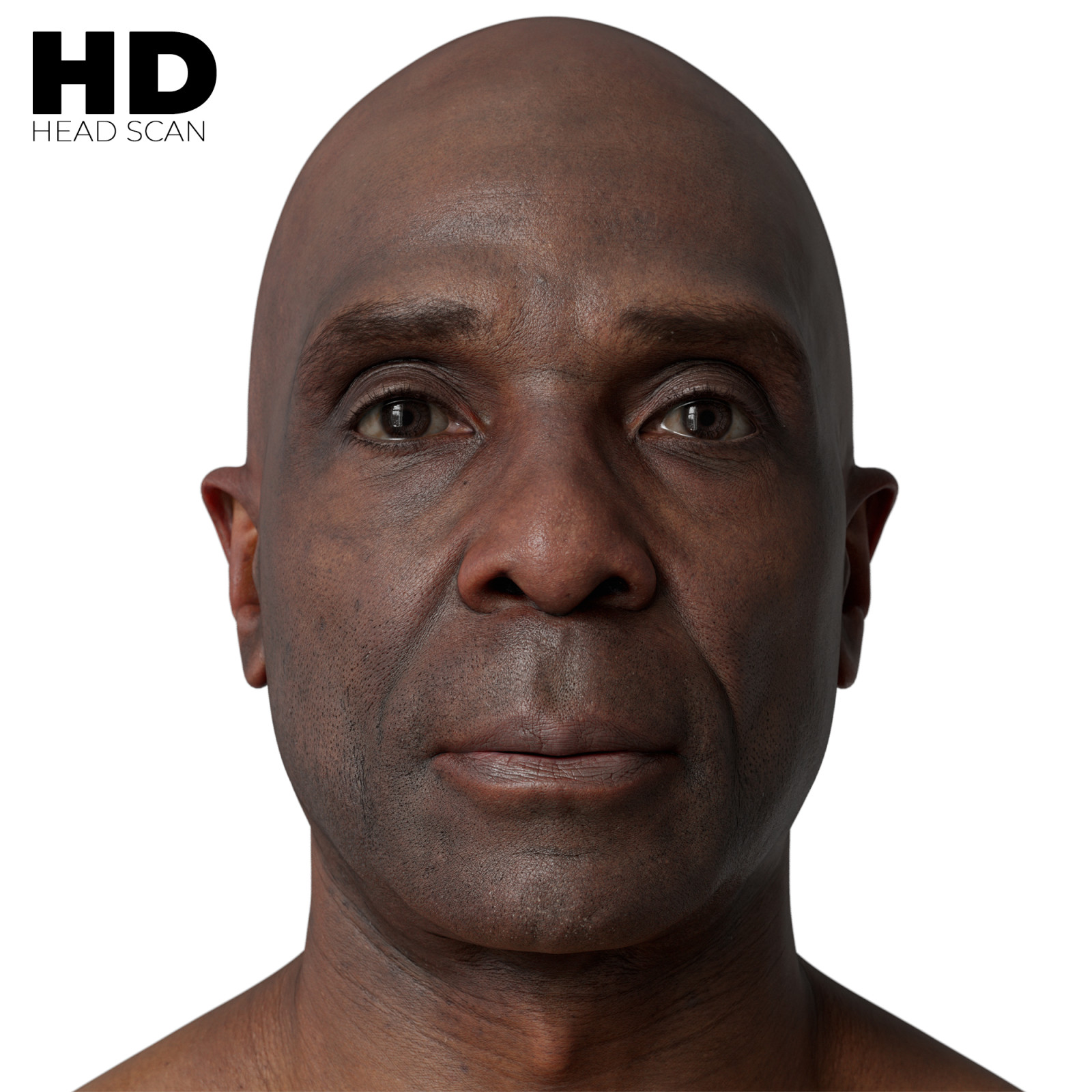 HD Head Scans