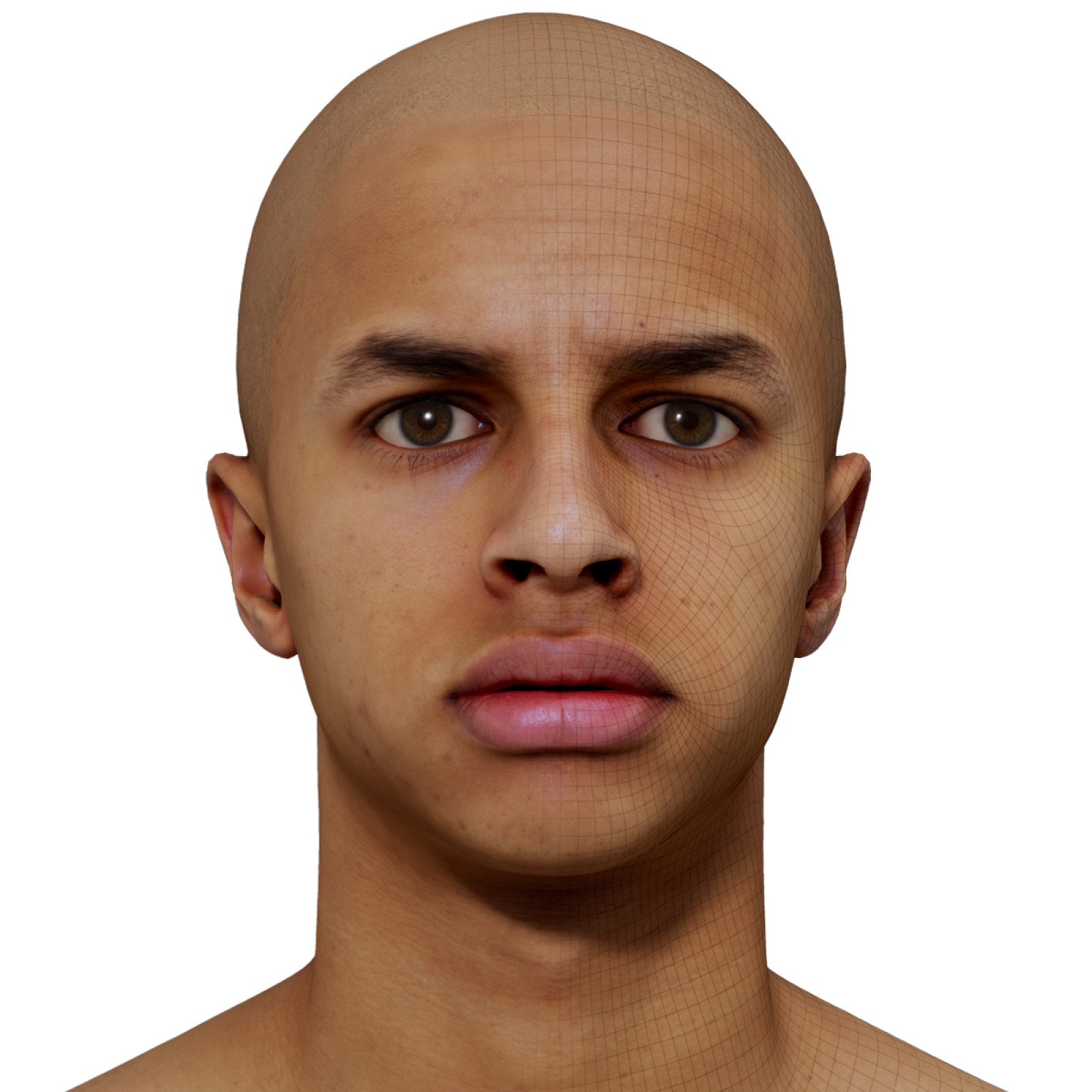 Head Scans