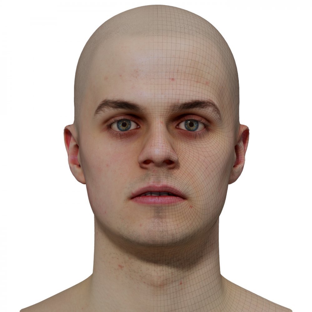 Male 3D model / Retopologised Head Scannumber 06