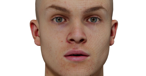 Male 3D model / Retopologised Head Scan 07