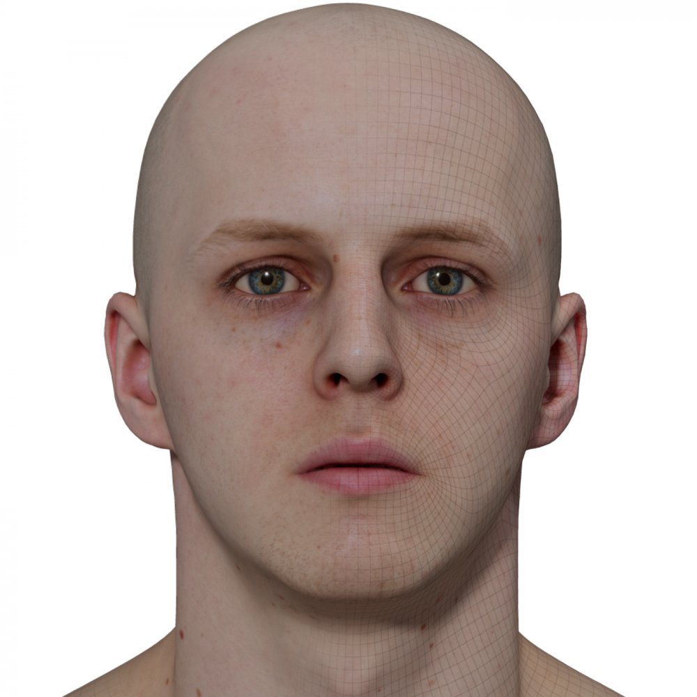 Male 3D model / Retopologised Head Scan 015