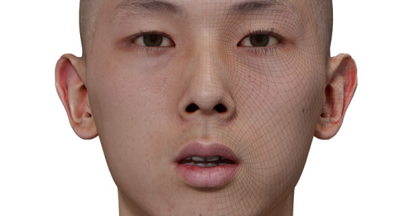 Male 3D model / Retopologised Head Scan 018