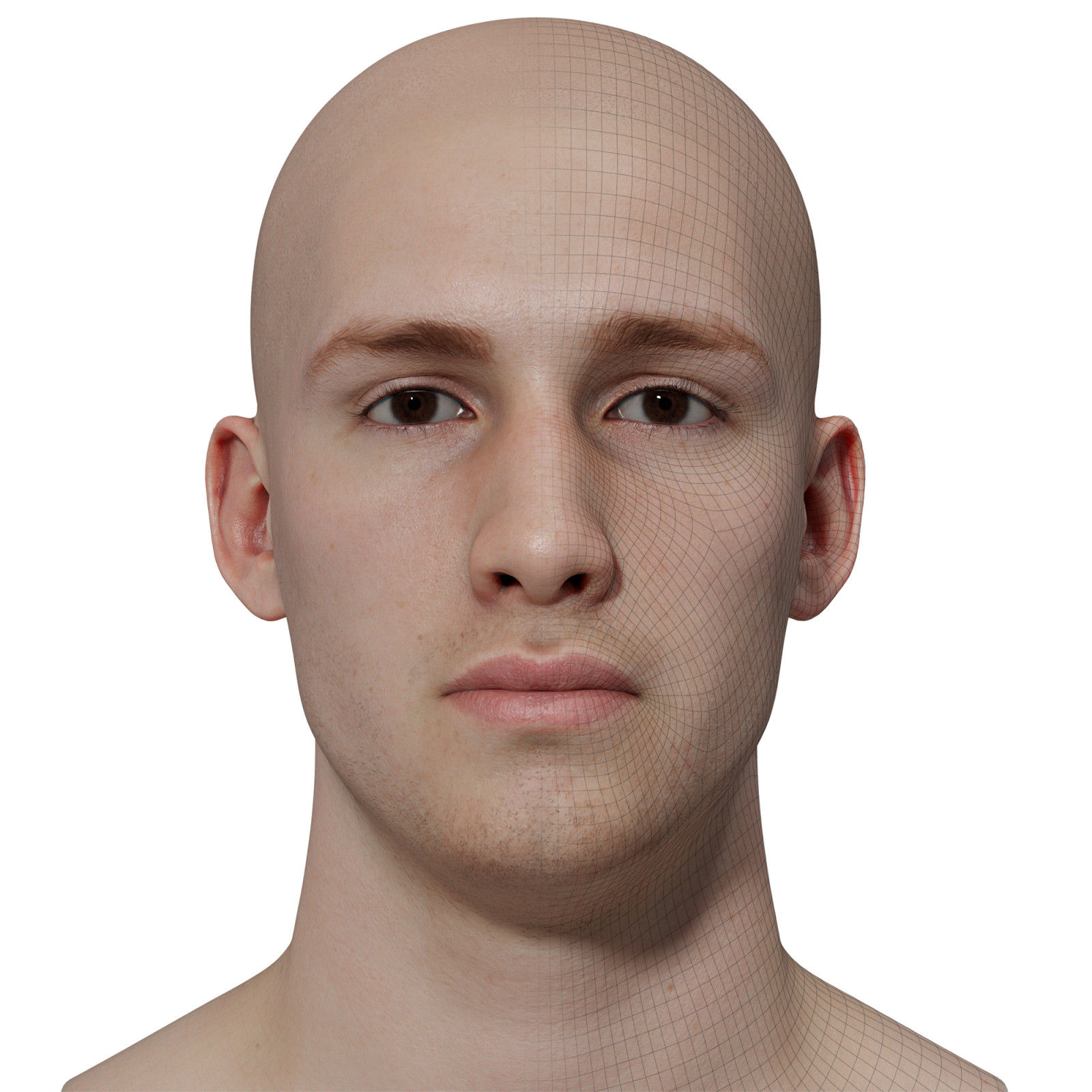 Head Scans