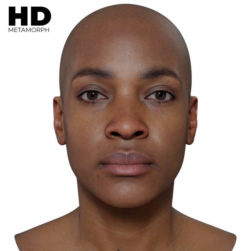 Metamorph 3d head models