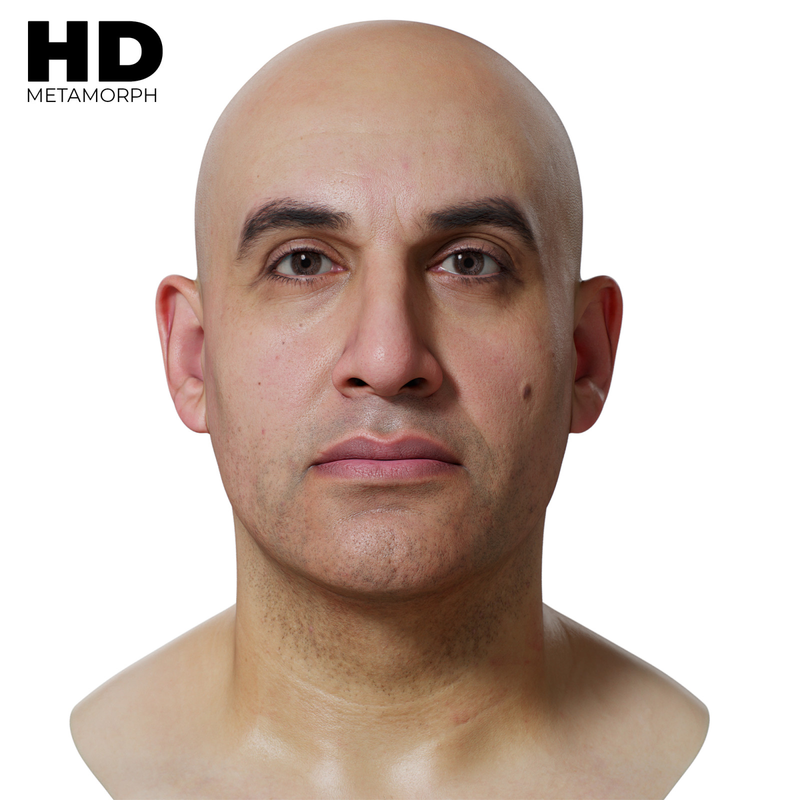 Metamorph 3d head models