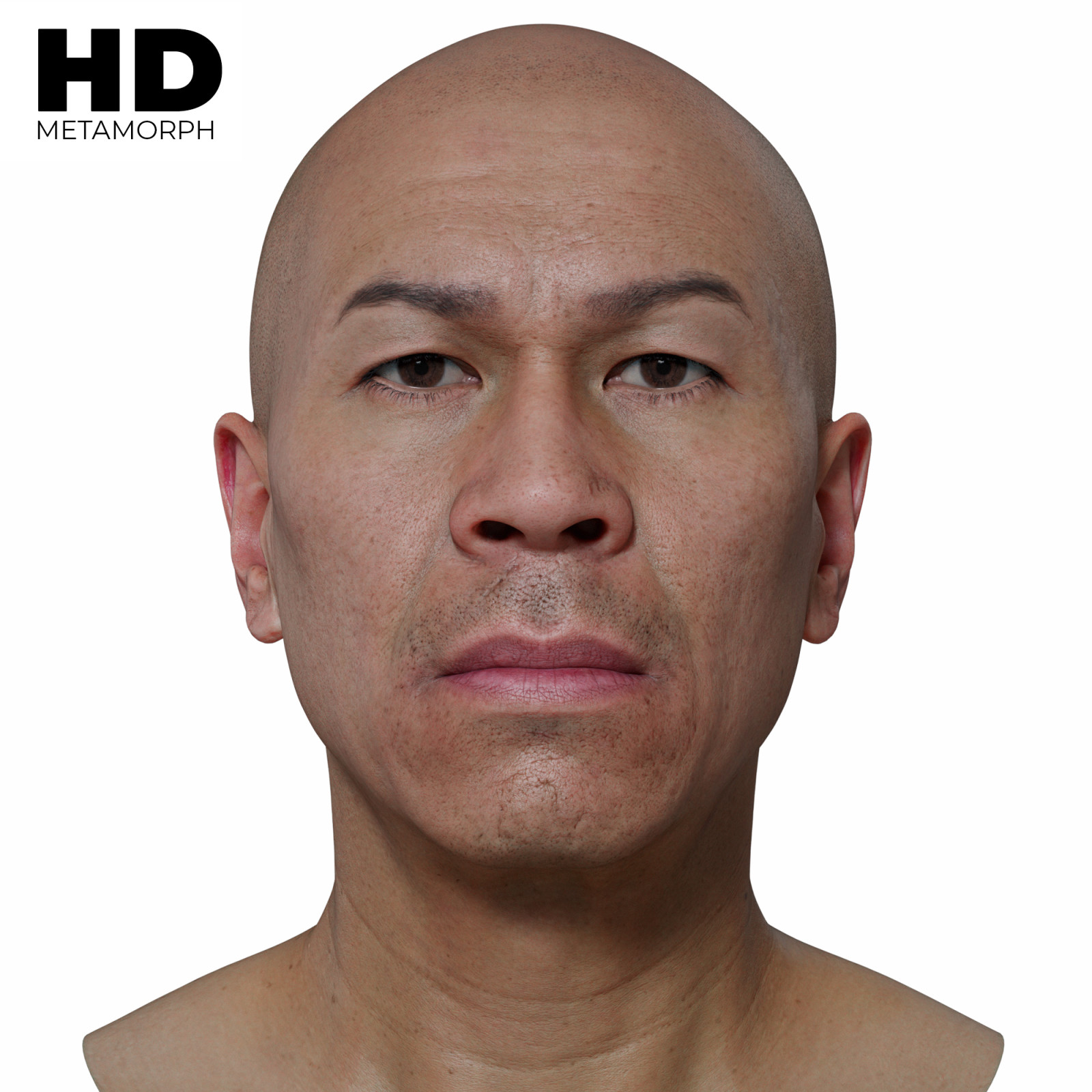 Metamorph 3d head models