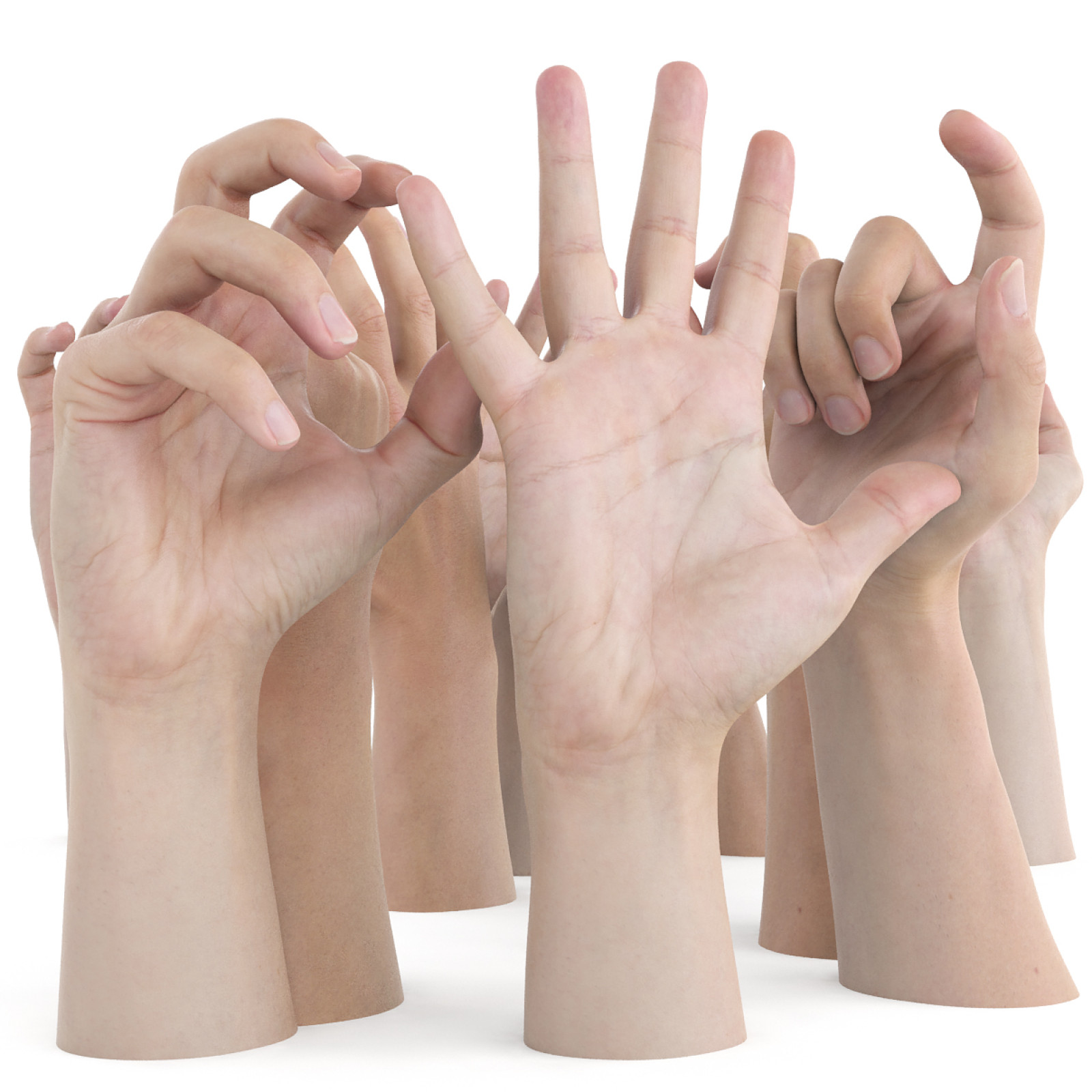 Hand 3D Models | All from 3d scans by 3dscanstore.com