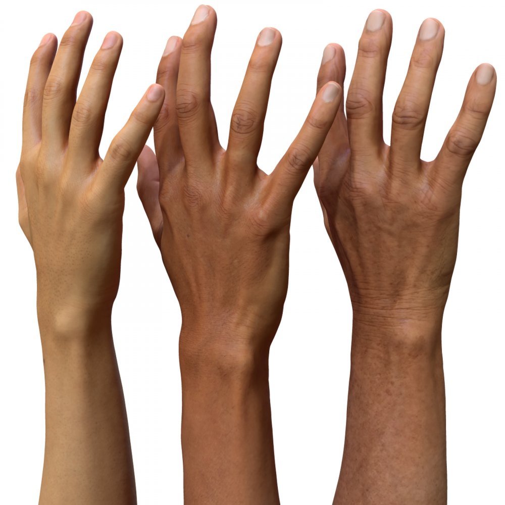 3 x Male 3D Hand Models / Asian 20/40/60 years old