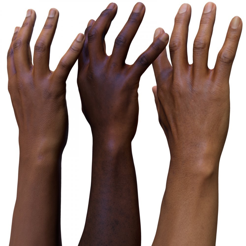 3 x Male 3D Hand Models / Black 20/40/60 years old