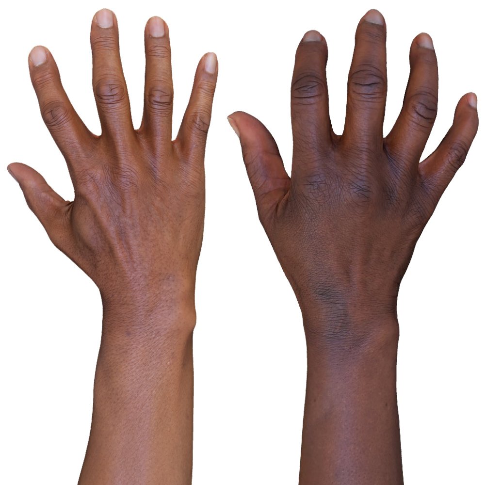 2 x Male And Female 3D Hand Models / Black 60 Years Old
