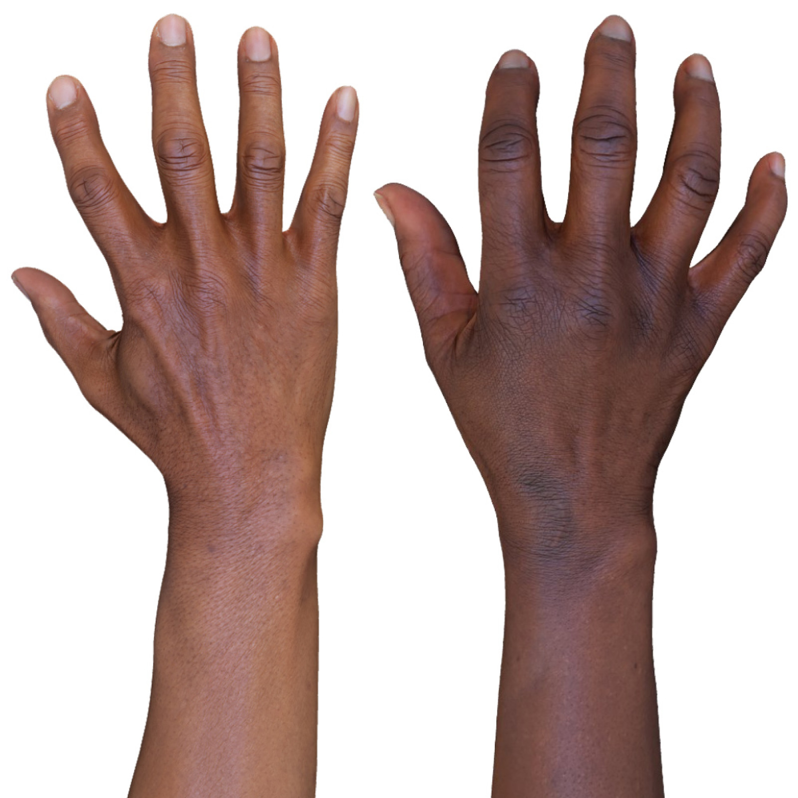 2 x Male And Female 3D Hand Models / Black 60 Years Old