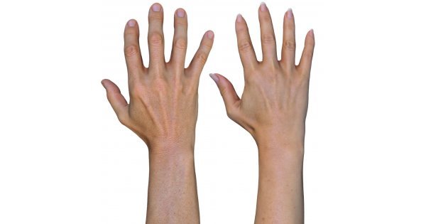 2 x Male And Female 3D Hand Models / White 40 Years Old