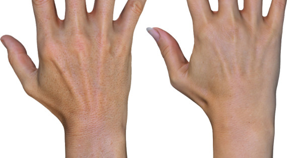 2 x Male And Female 3D Hand Models / White 40 Years Old