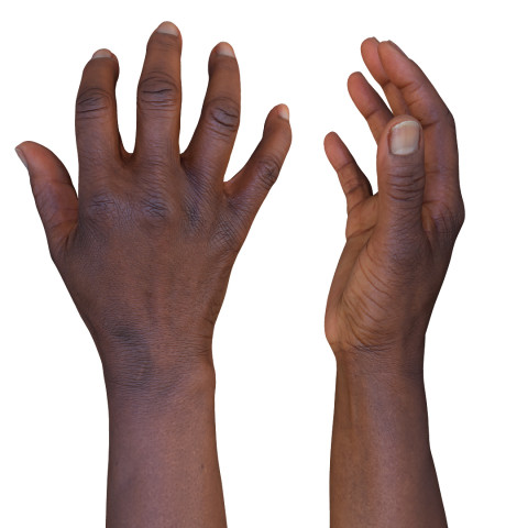 2 x Male And Female 3D Hand Models / Black 20 Years Old