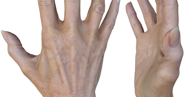 Female 3D Hand Model / White 60 Years Old