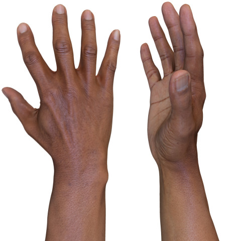 2 x Male And Female 3D Hand Models / Black 20 Years Old
