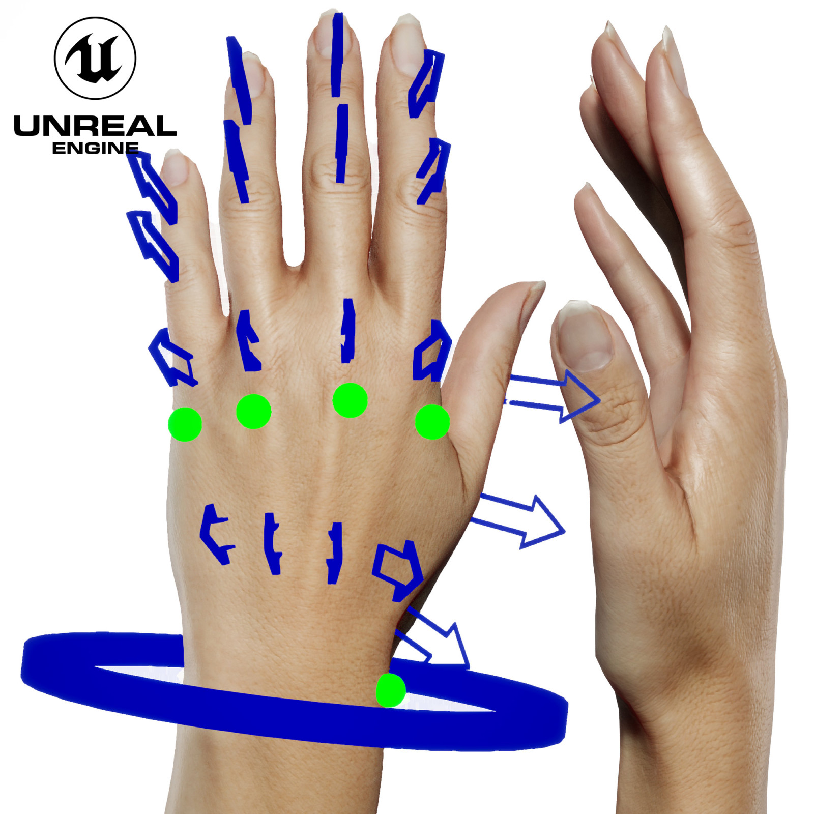 Rigged Photorealistic 3D Scanned White Female Hand Model - Ready to ...
