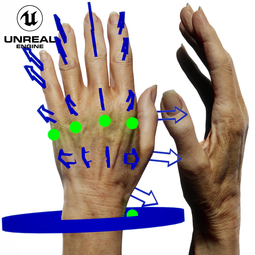 Rigged Photorealistic 3D Scanned White Female Hand Model - Ready to ...