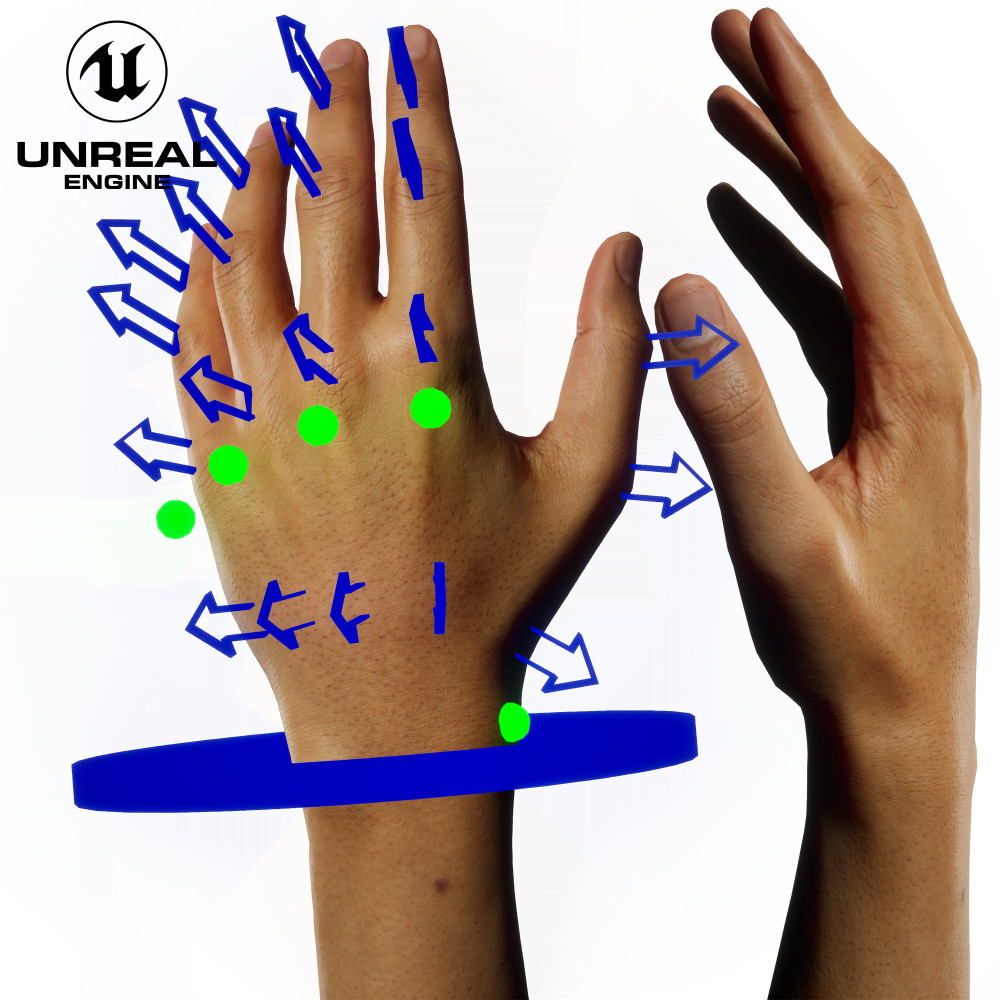 Rigged Photorealistic 3D Scanned Asian Male Hand Model - Ready to ...