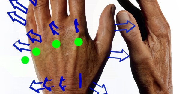 Rigged Photorealistic 3D Scanned Asian Male Hand Model - Ready to ...