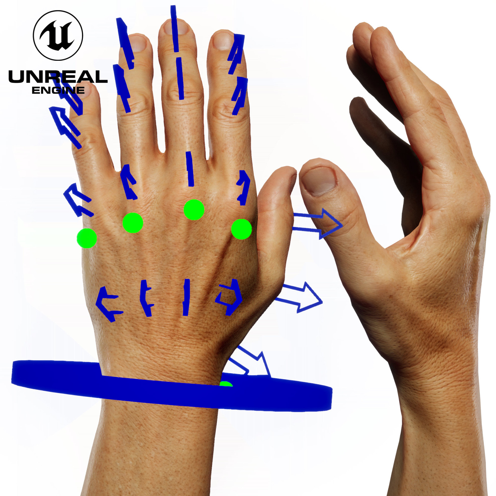 Rigged Photorealistic 3D Scanned White Male Hand Model - Ready to ...