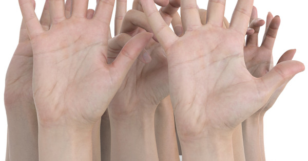 22 x Male and Female 3D Hand Scans