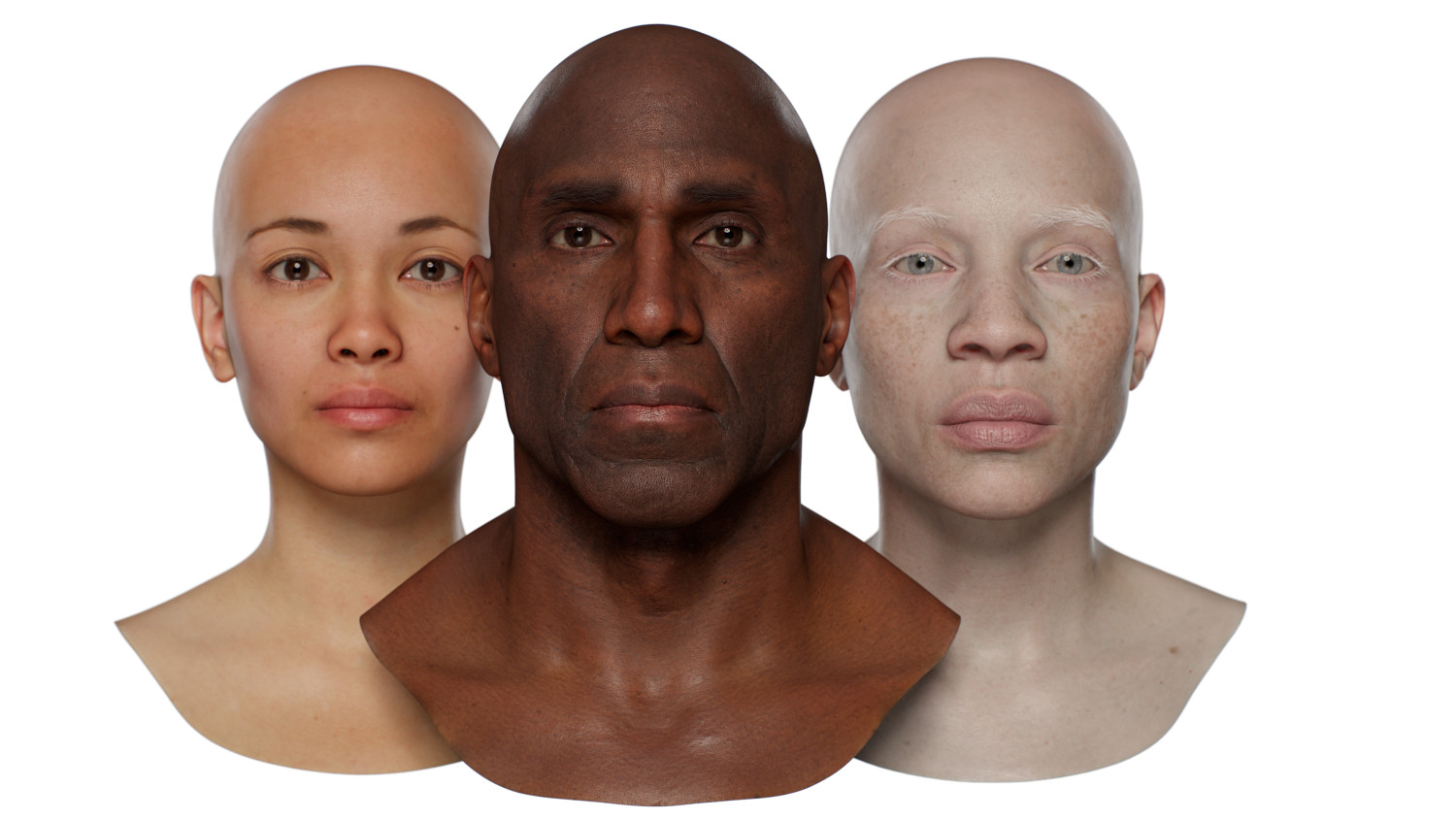 3d Models | 3d Models from 3d scans | 3dscanstore.com