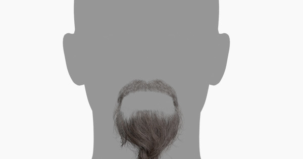 Realtime Hair - Viking Beard