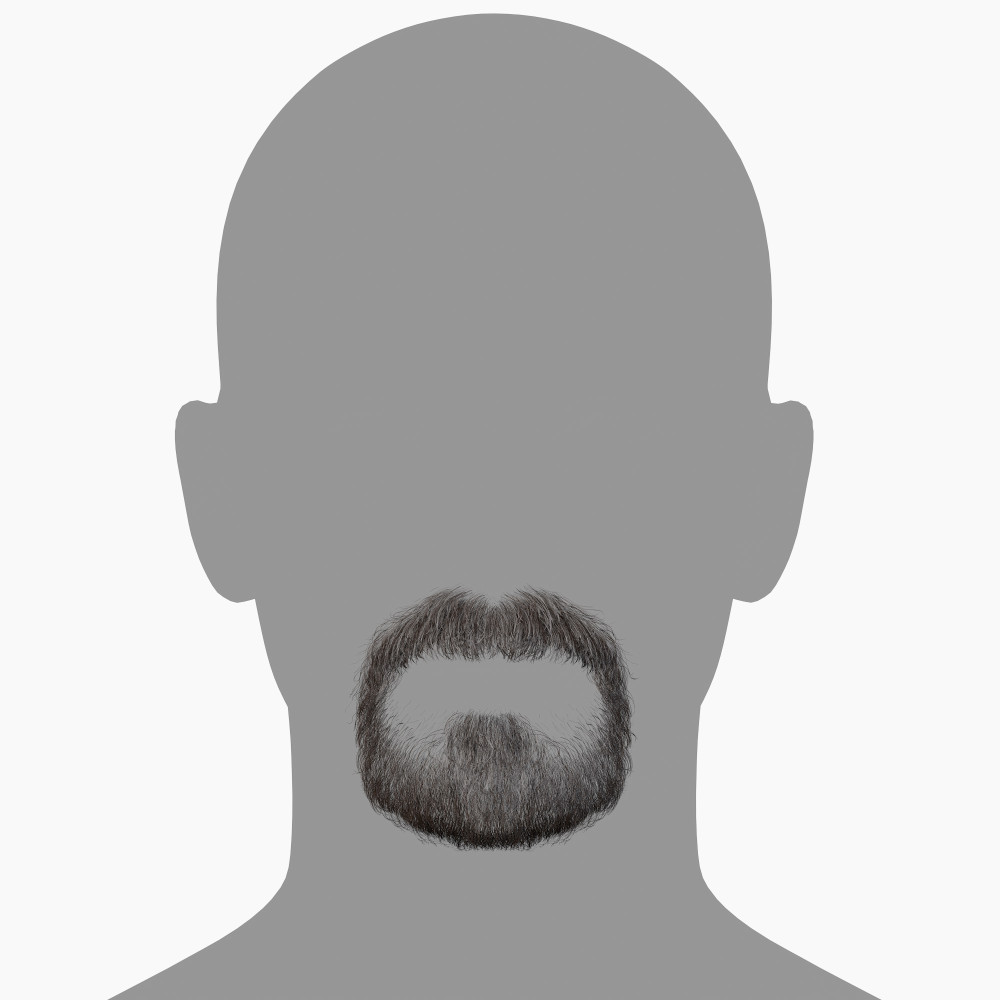 Realtime Hair - Walter White Goatee