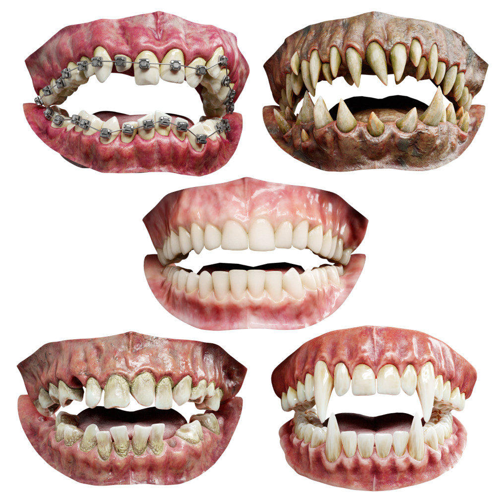 Realistic 3D Teeth with - Includes Blender, Marmoset, and ZTL Files