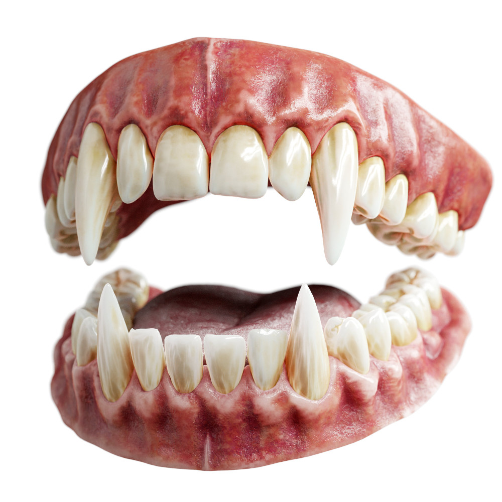 Realistic 3D Vampire Teeth Model - Includes Blender, Marmoset, and ZTL ...