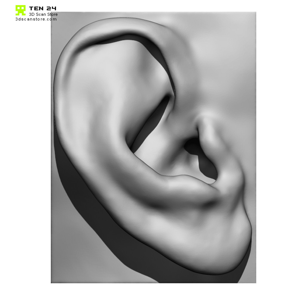 20 x Ear Scan Bundle
