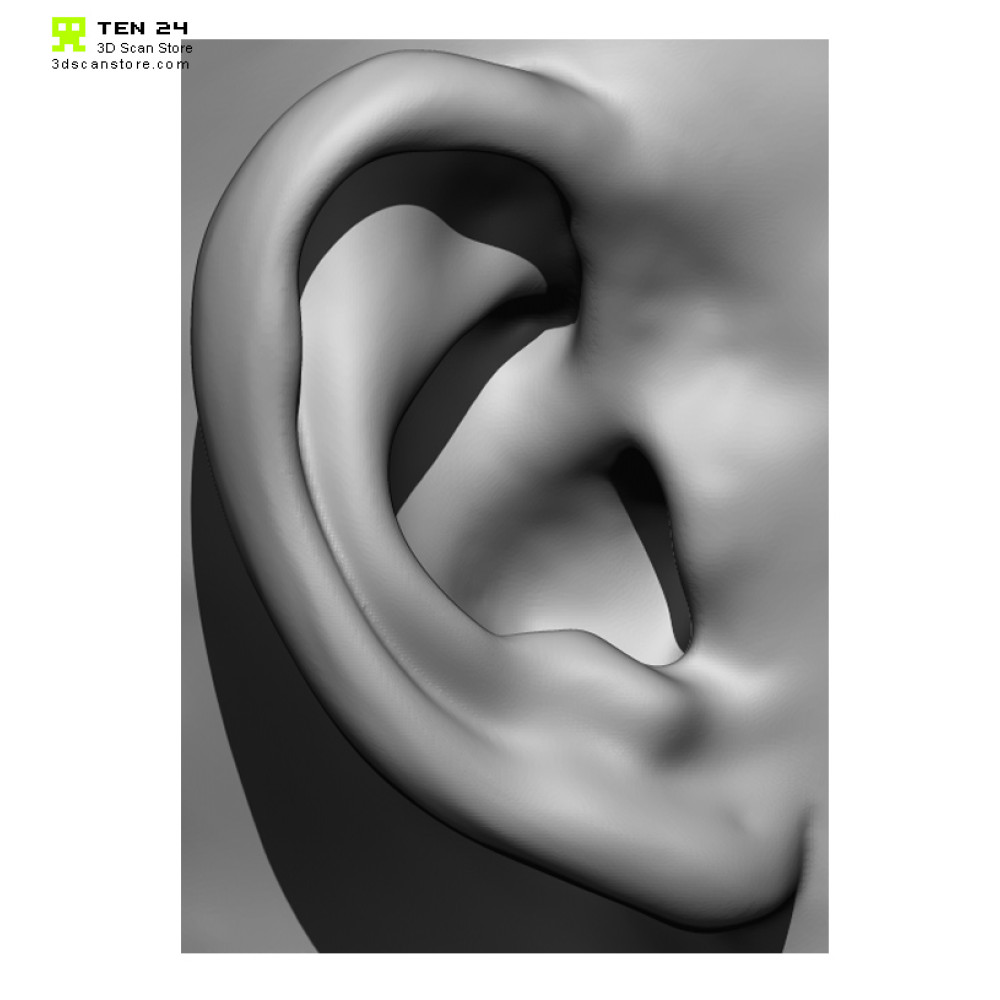 20 x Ear Scan Bundle