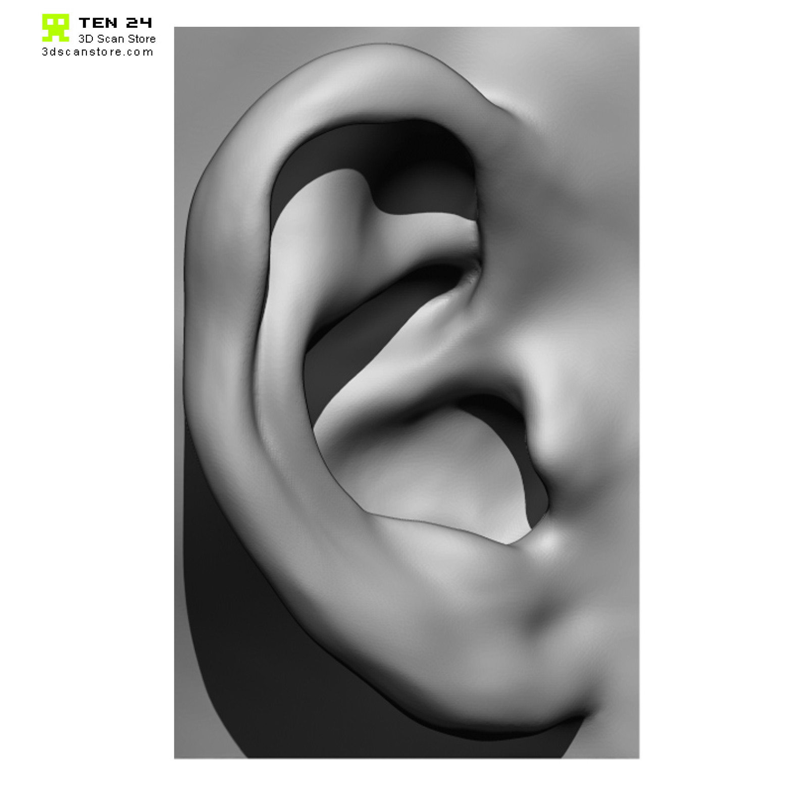 20 x Ear Scan Bundle