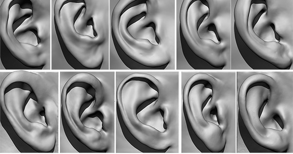 20 x Ear Scan Bundle