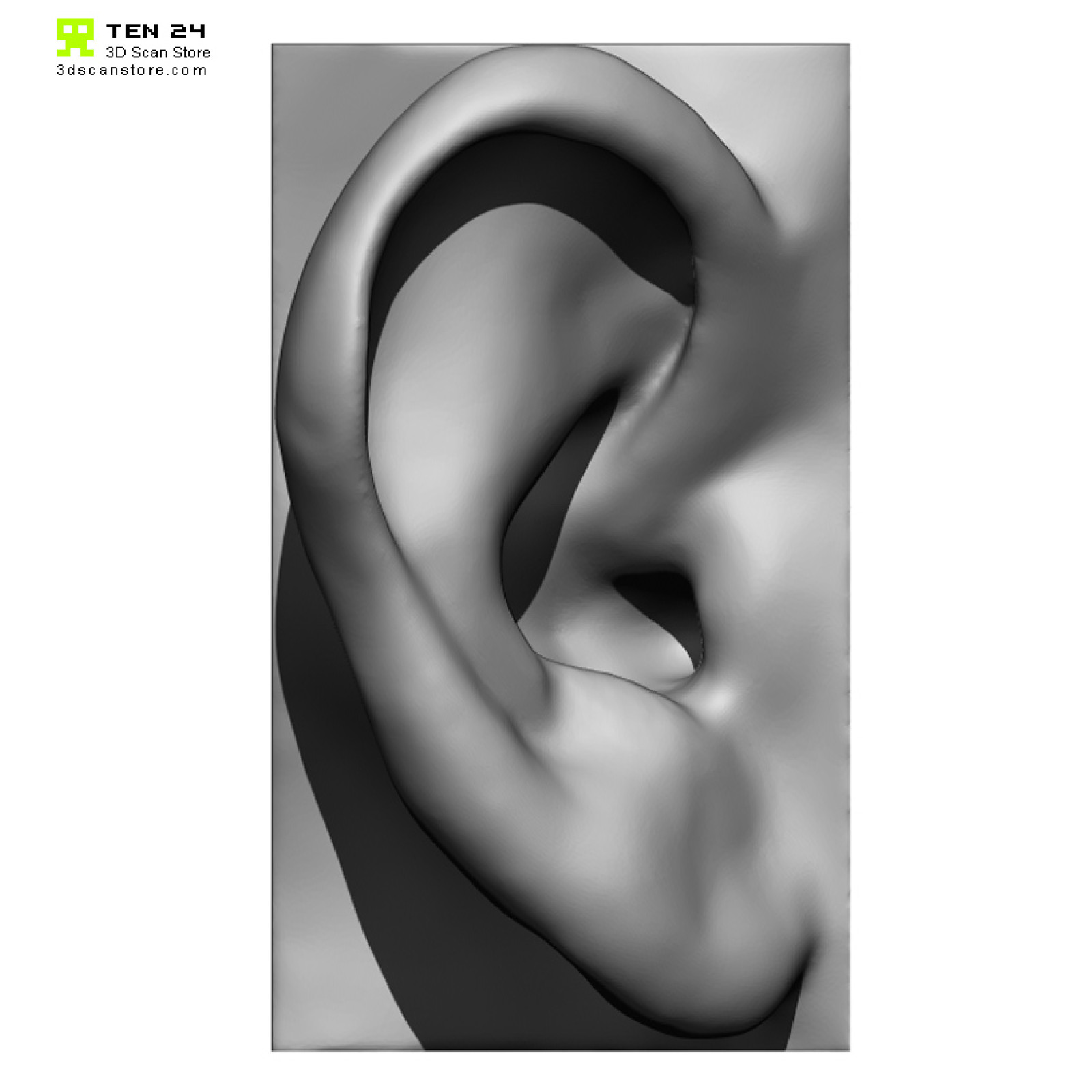 20 x Ear Scan Bundle