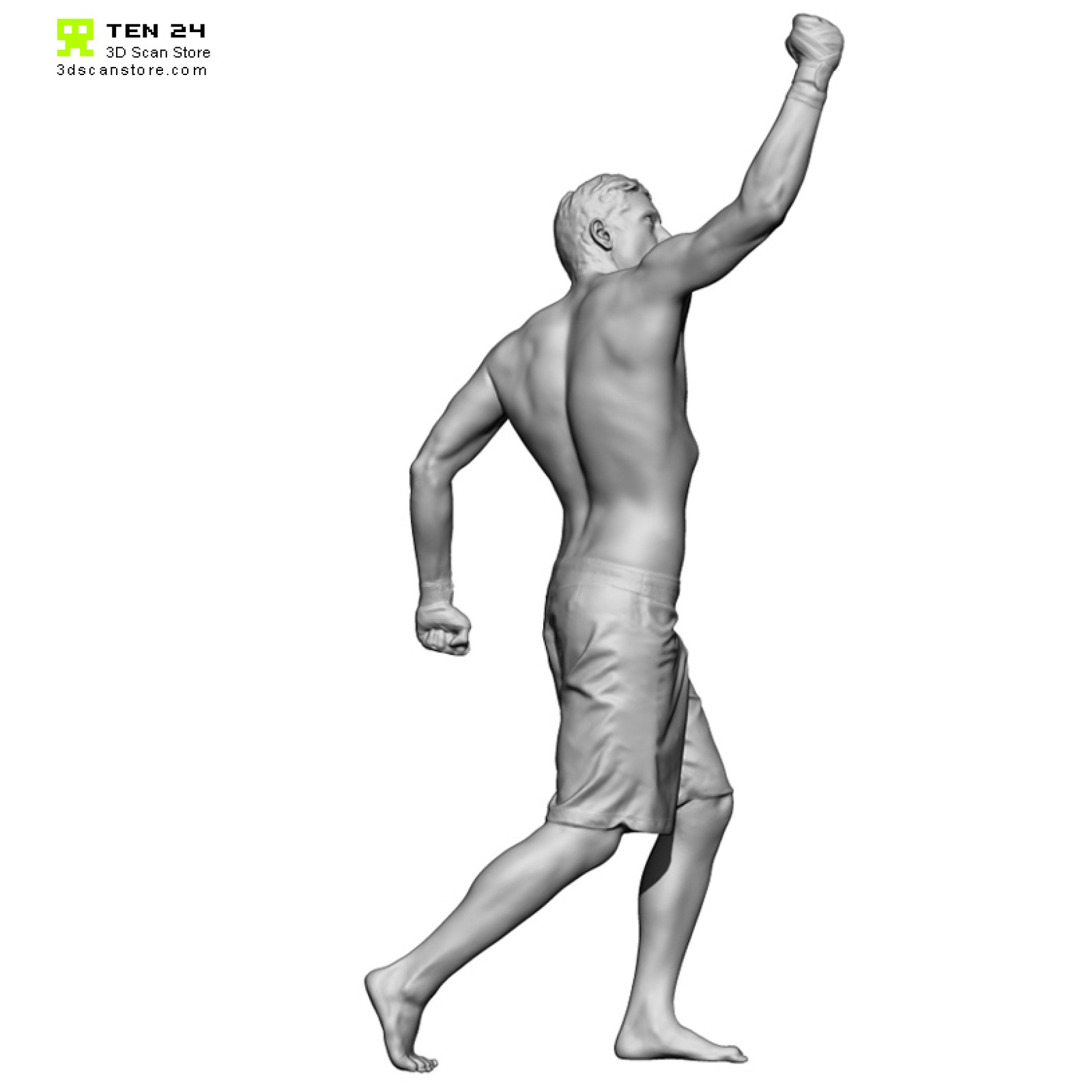 MMA | Martial Arts Fighter Bundle