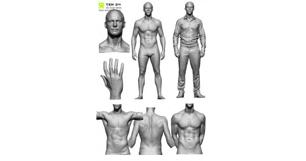 Male Anatomy Bundle 01 male-anatomy-bundle-01