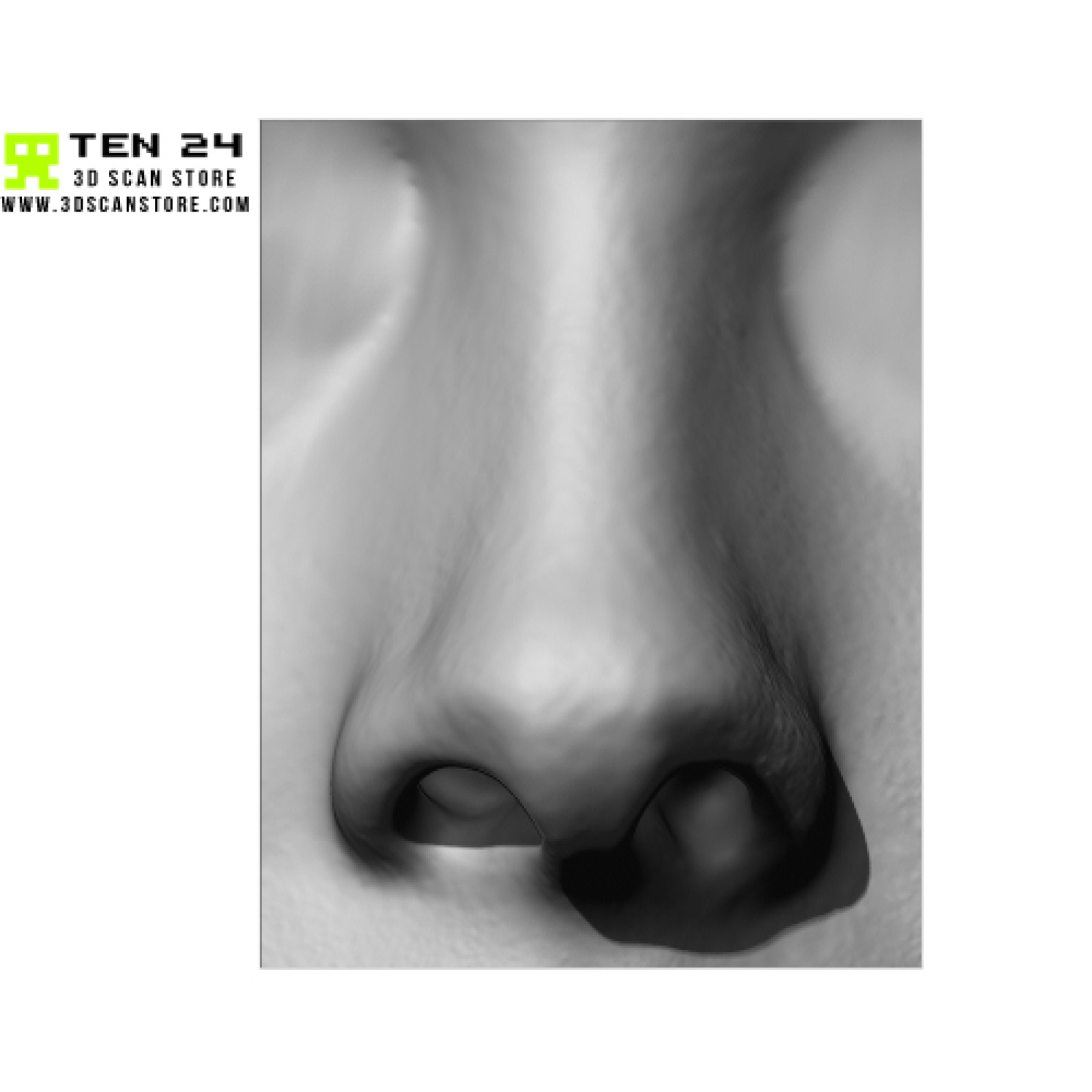 20 x Nose Scan Bundle
