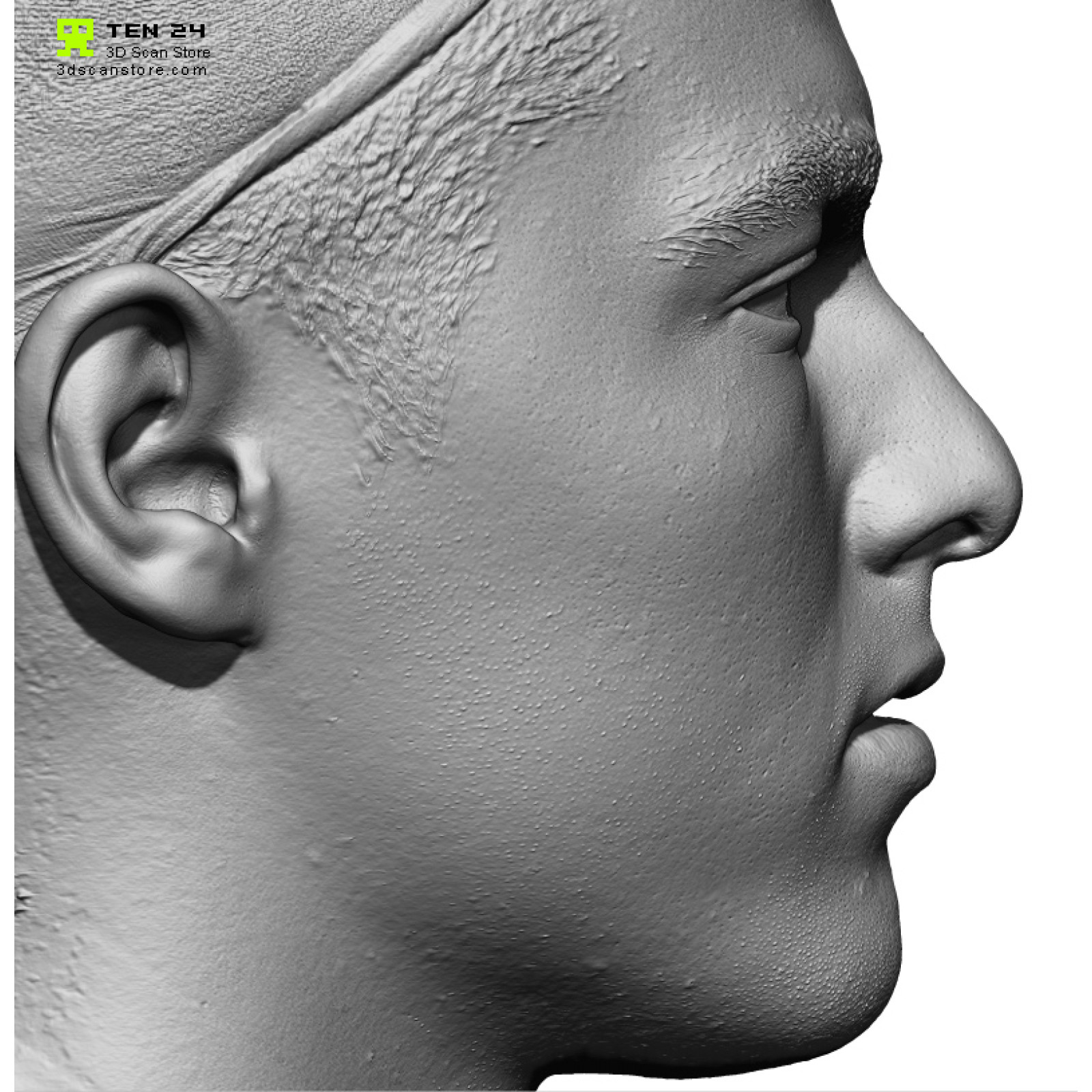 Male 26 Head Scan Cleaned