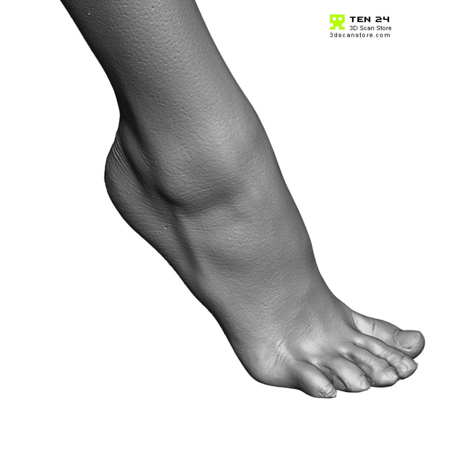 Colour Female 06 Pose 06